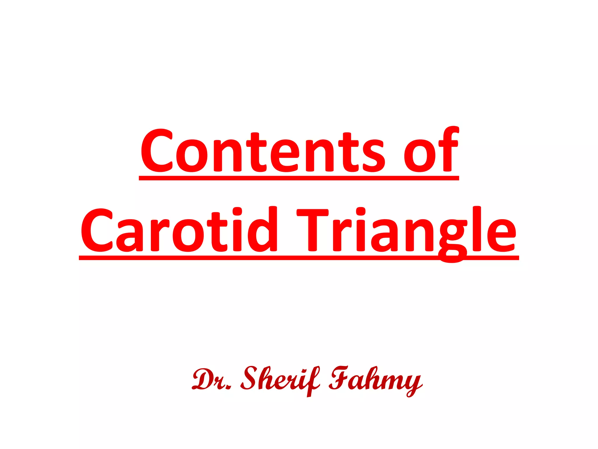 Carotid Triangle (Anatomy of the Neck) | PPS