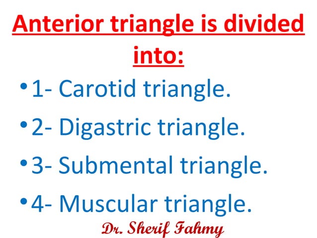 Carotid Triangle (Anatomy of the Neck) | PPS