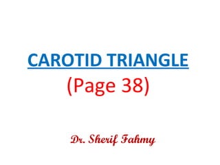 Carotid Triangle (Anatomy of the Neck) | PPS