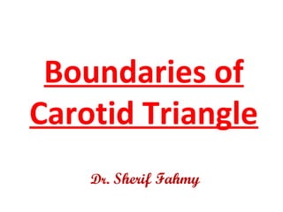 Carotid Triangle (Anatomy of the Neck) | PPS