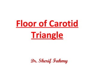 Carotid Triangle (Anatomy of the Neck) | PPS