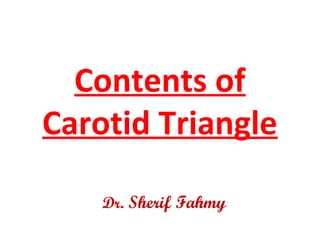 Carotid Triangle (Anatomy of the Neck) | PPS