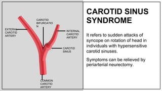Carotid Triangle.pptx