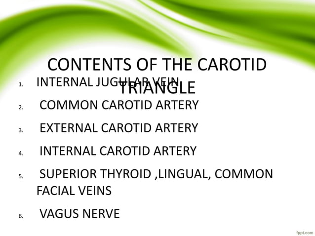 Carotid triangle | PDF | Thyroid Disorders | Endocrine and Metabolic ...