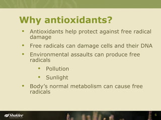 Caroto Max and Flavo Max | PDF