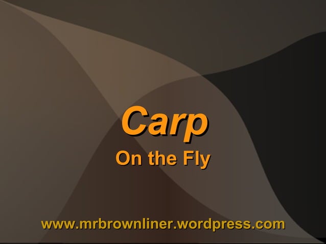 Carp on The Fly | PPT | Fishing Sports | Sports