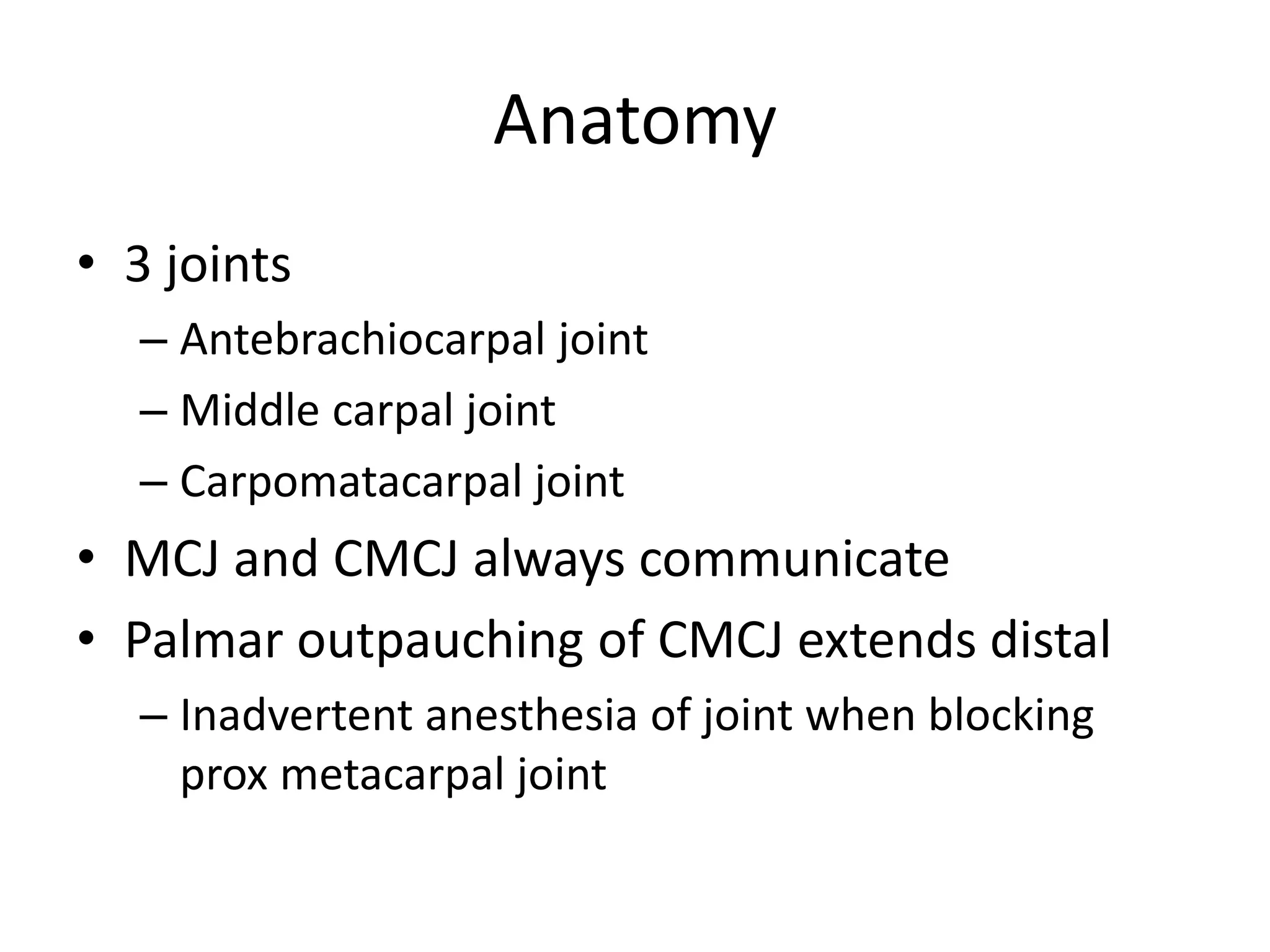 Equine Carpus Anatomy | PPTX