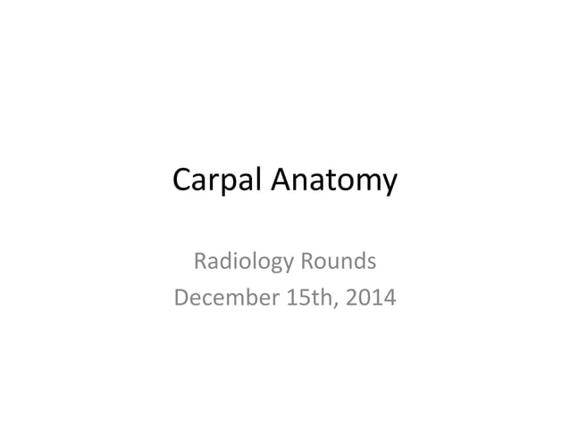 Equine Carpus Anatomy | PPTX