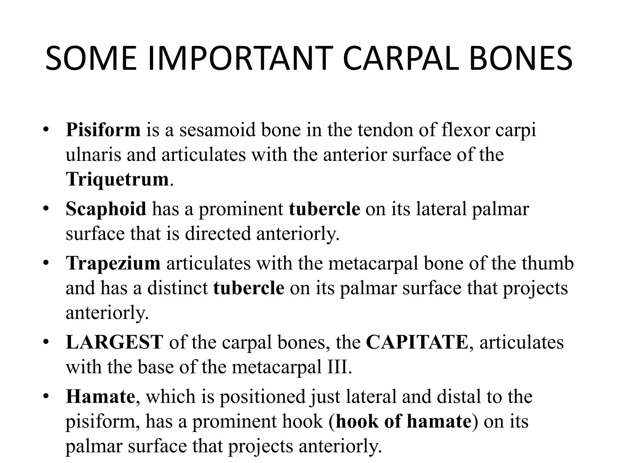 Carpal bone fractures | PPTX