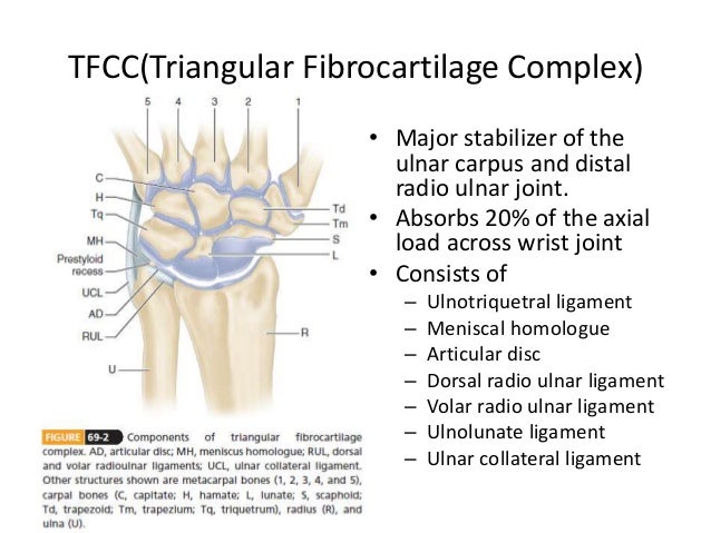 Carpal bone fractures