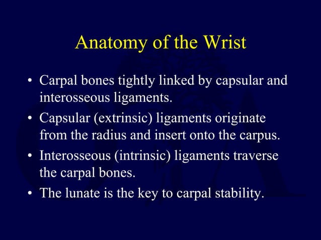 Carpal Fractures and Dislocations.....pdf
