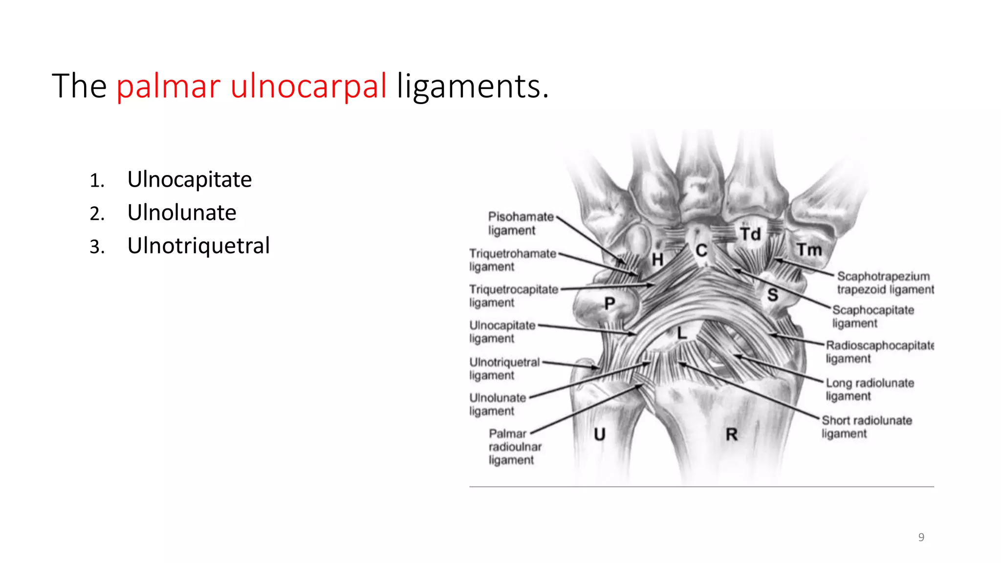 carpal instability & management.pptx