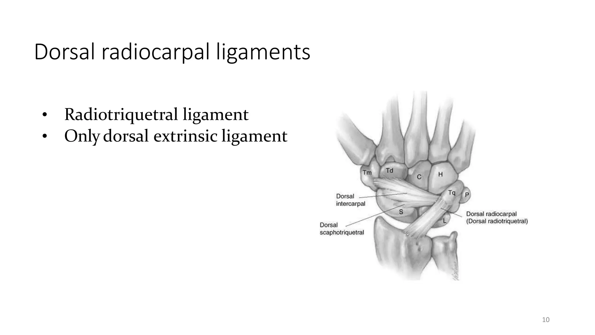 carpal instability & management.pptx