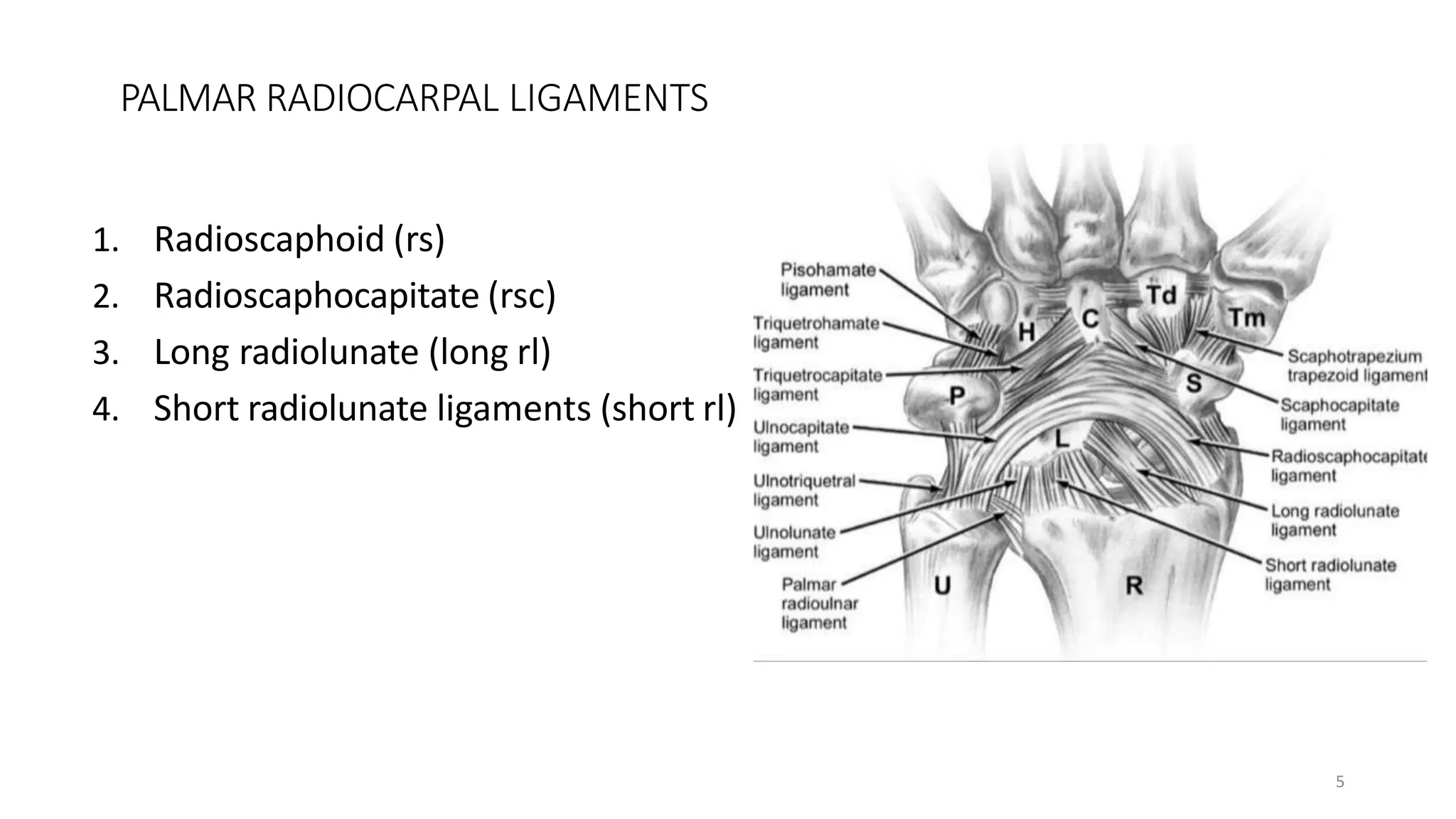 carpal instability & management.pptx