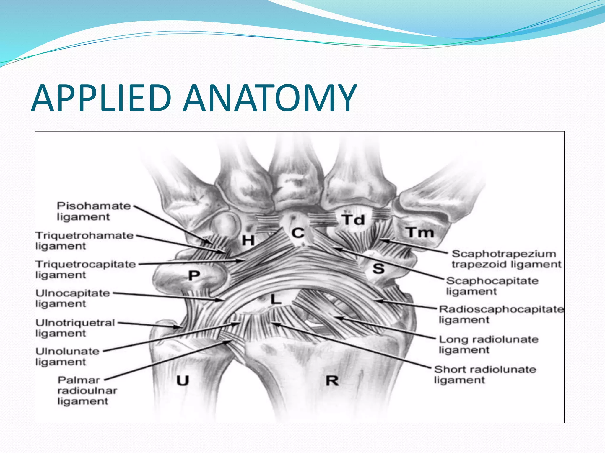Carpal instability and perilunate dislocation | PPTX