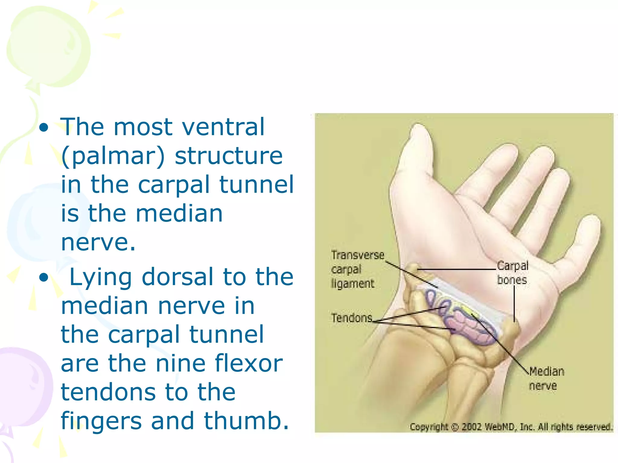 Carpal tunnel syndrome | PPT