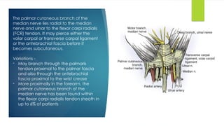 Carpal tunnel syndrome of hand in diabetes | PPTX