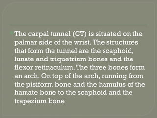 carpal tunnel syndrome Pathology and treatment | PPTX