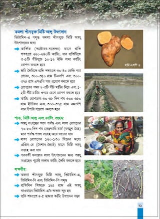 Carp and sobji chas | PDF