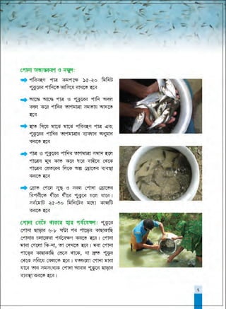 Carp and sobji chas | PDF