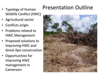 Overview of Human-Wildlife Conflict Management in Cameroon | PPT