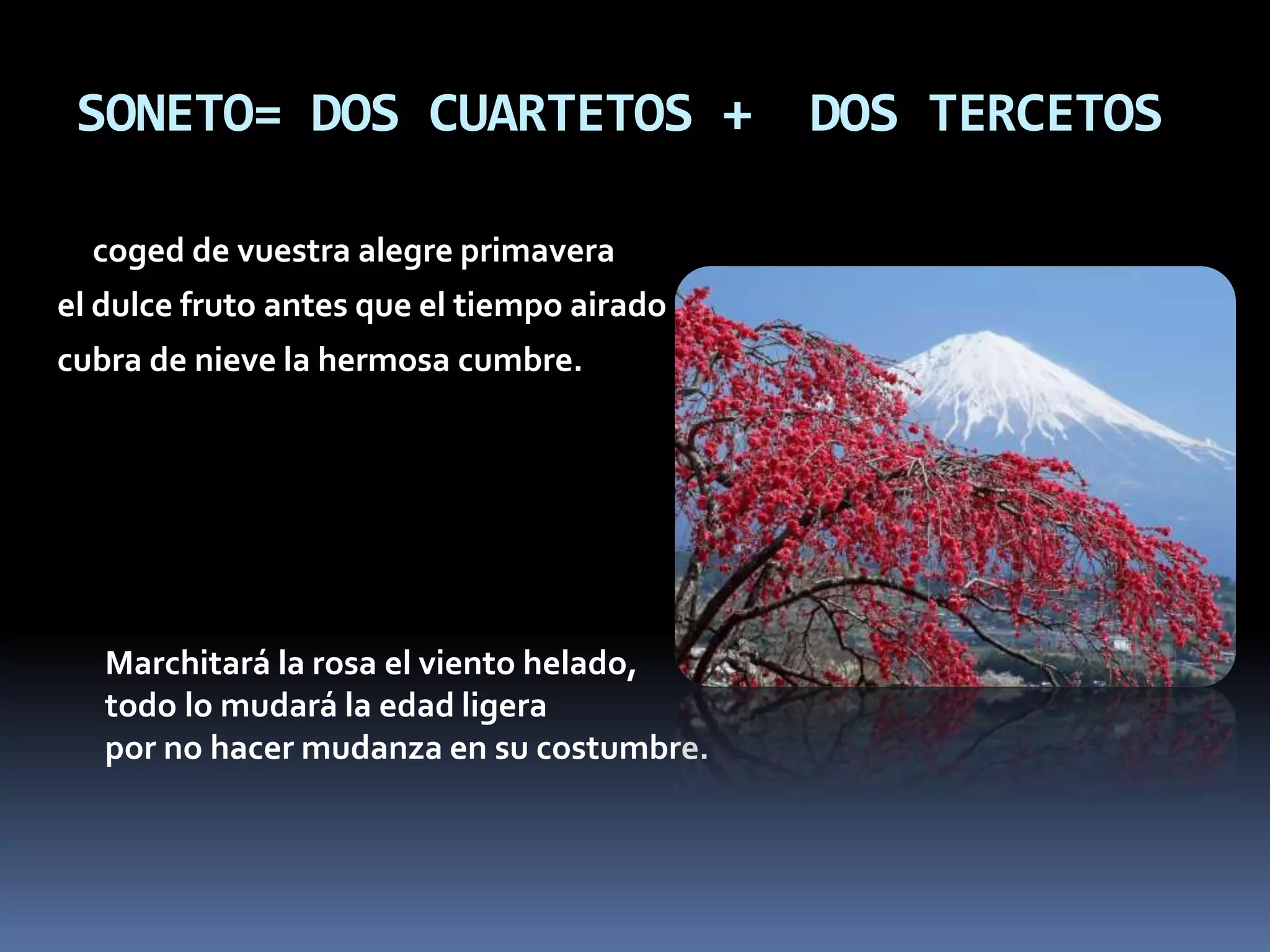 SONETO 23 DE GARCILASO DE LA VEGA | PPT