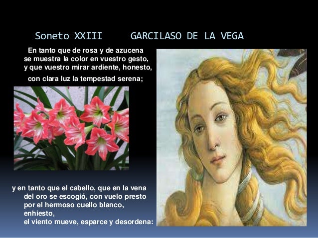 SONETO 23 DE GARCILASO DE LA VEGA