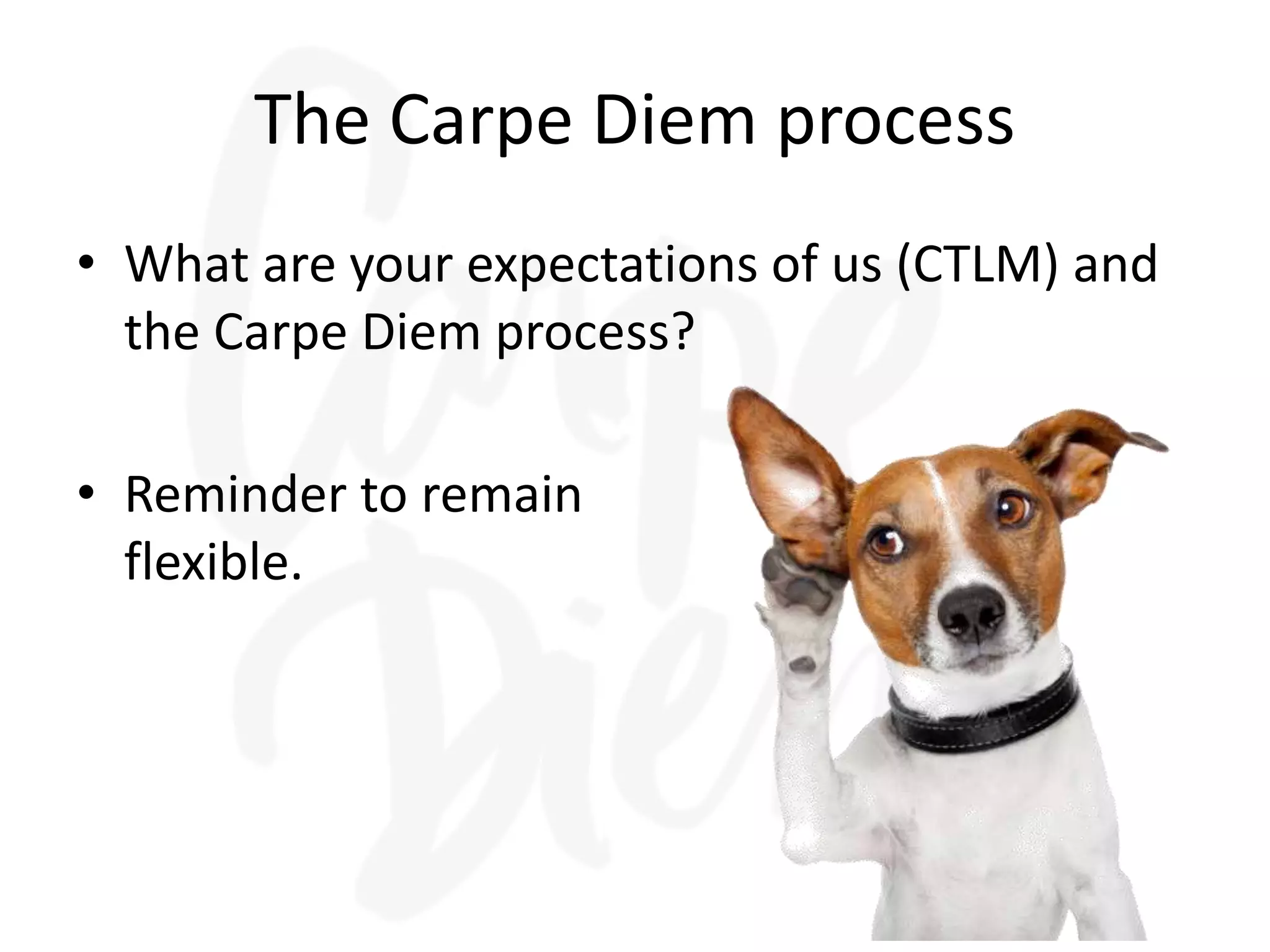 Carpe diem pre workshop example | PPTX