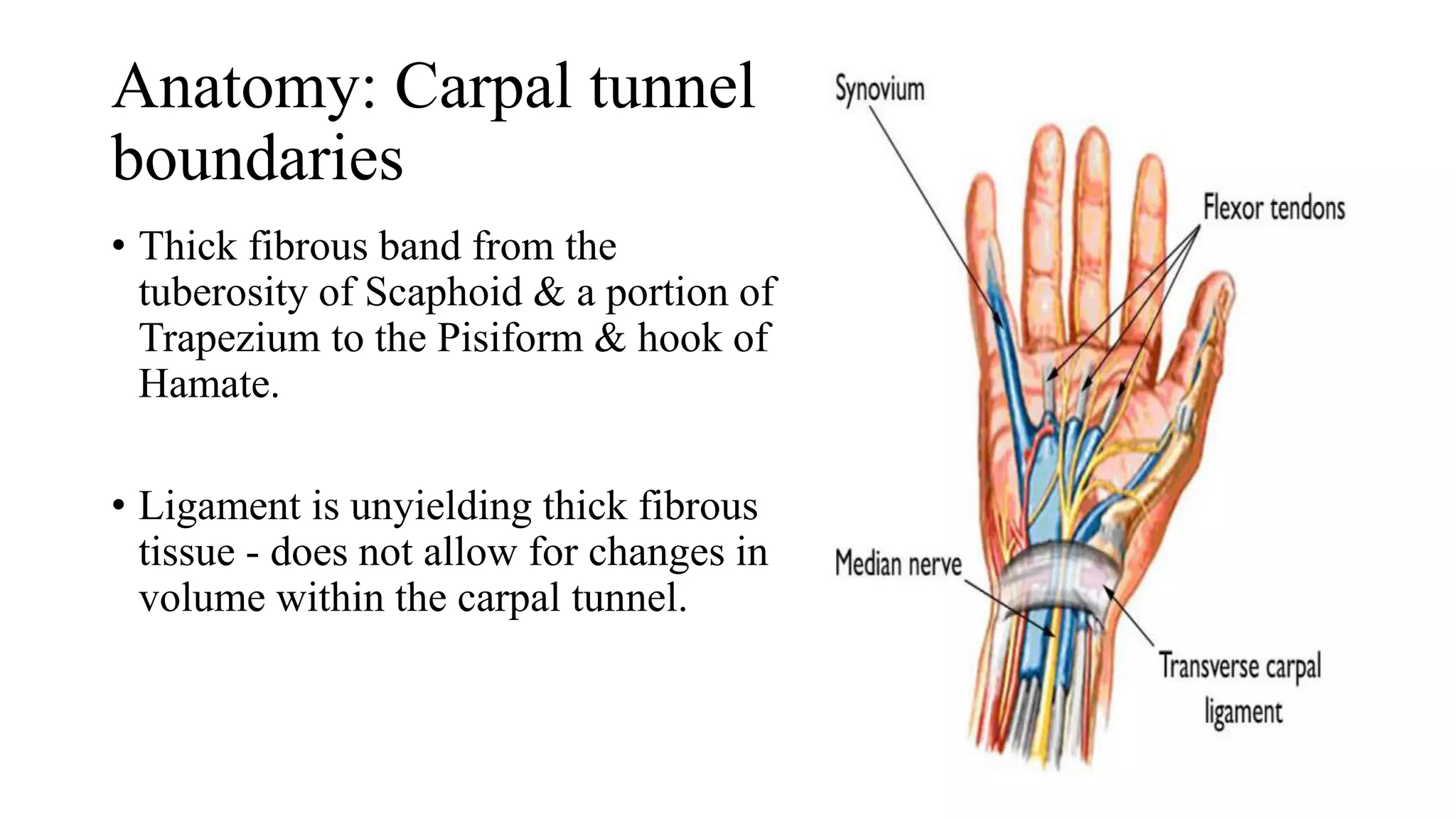 Carpel tunnel syndrome | PPTX
