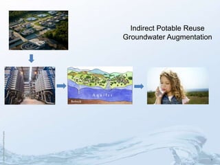 Direct, Indirect, and Potable Reuse Panel | PPTX