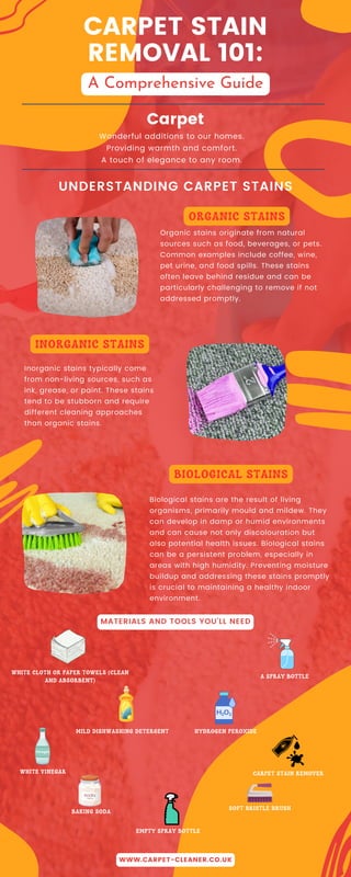 Carpet Stain Removal 101: A Comprehensive Guide | PDF
