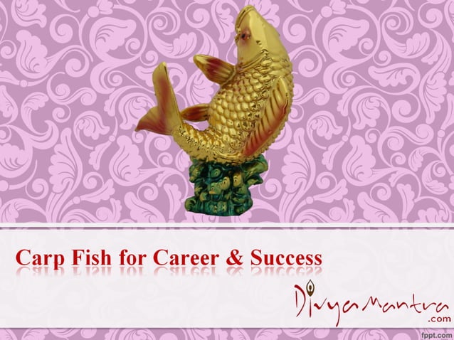 Carp fish for career & success | PPT