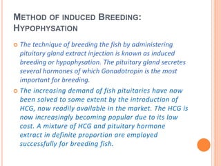 Carp hatchery | PPTX