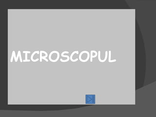 Carpiuc Raul Microscopul | PPT