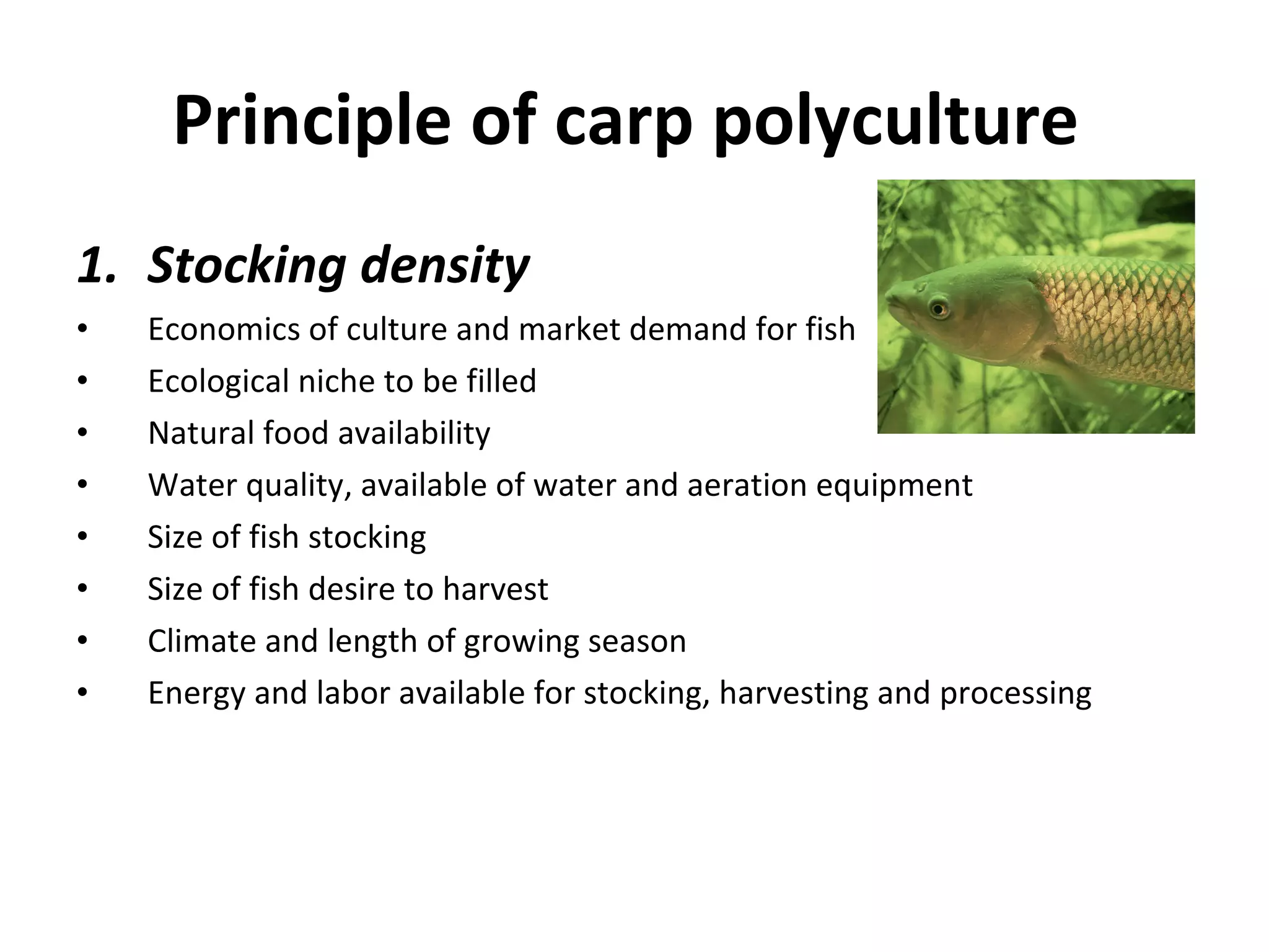 Carp Polyculture Presentation | PPT