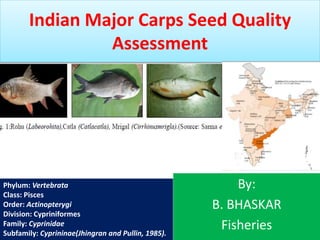 Carp seed Quality assessment.ppt