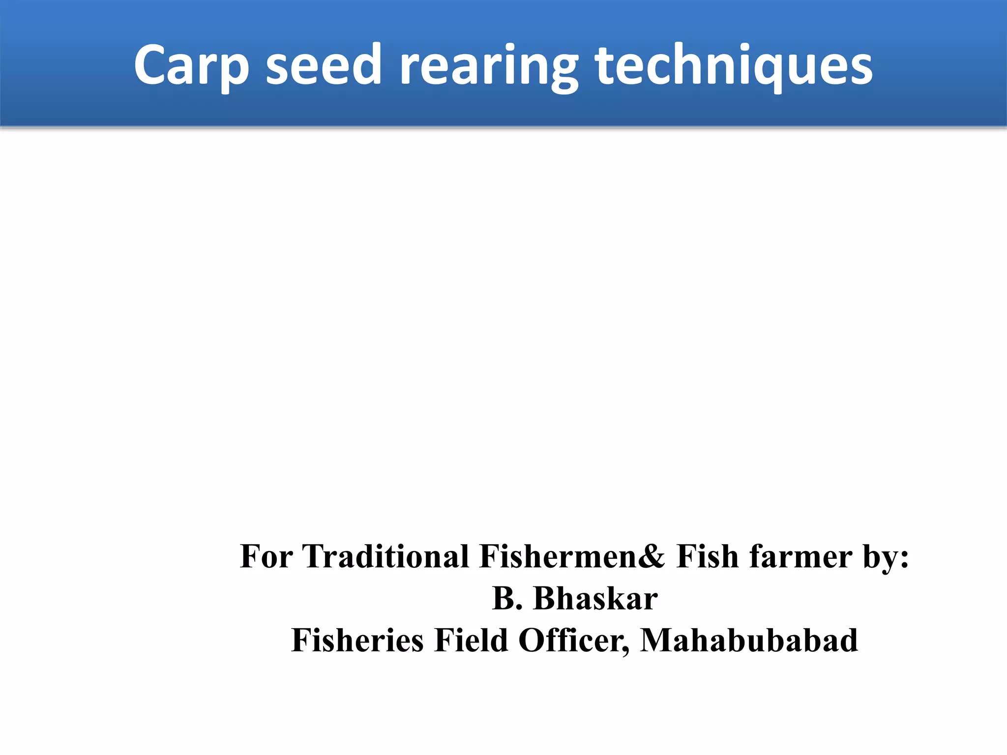 Carp seed rearing techniques | PPTX