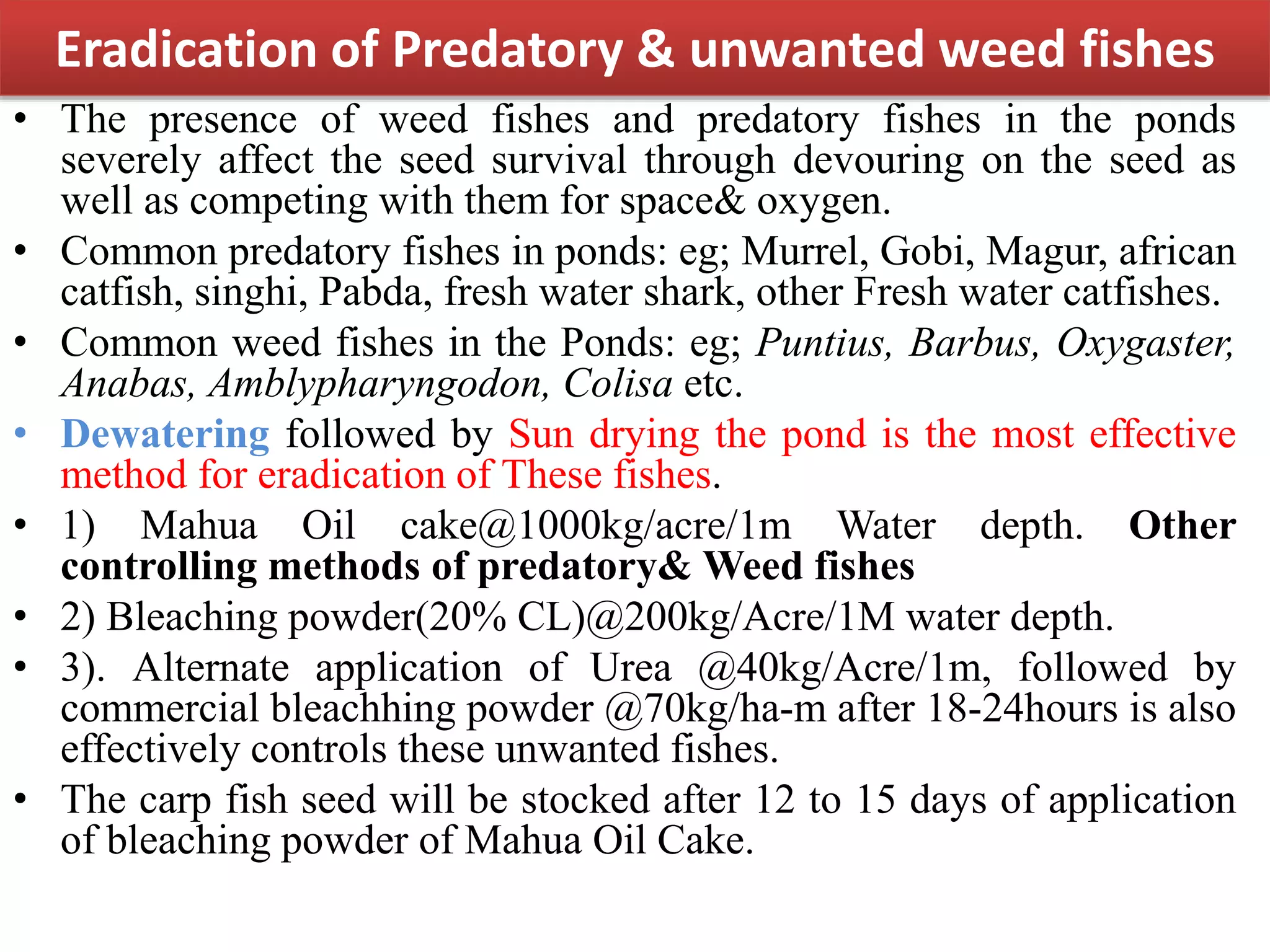 Carp seed rearing techniques | PPTX