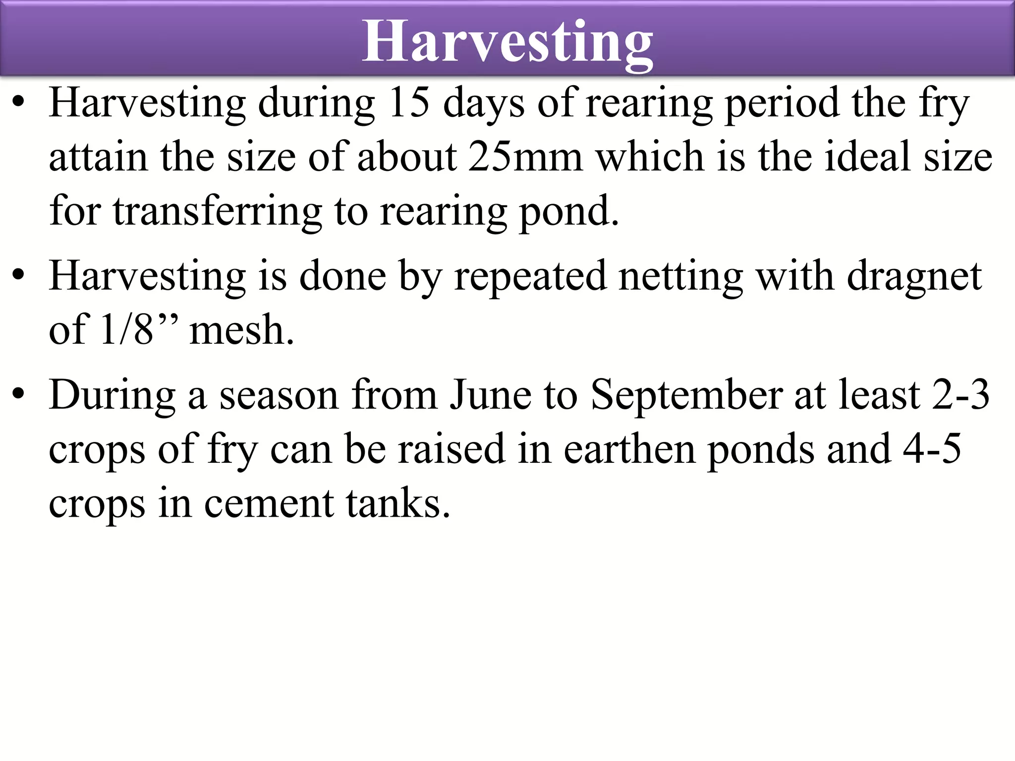 Carp seed rearing techniques | PPTX