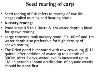 Carp seed rearing techniques | PPTX