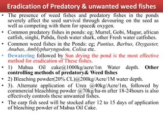 Carp seed rearing techniques | PPTX