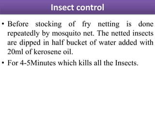 Carp seed rearing techniques | PPTX
