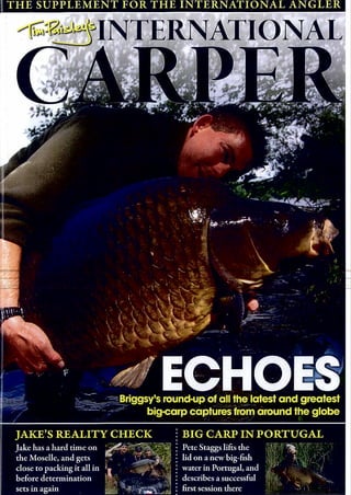 Carpworld | PDF
