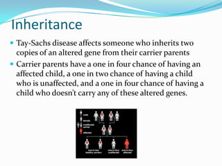 Tay Sachs Disease | PPTX