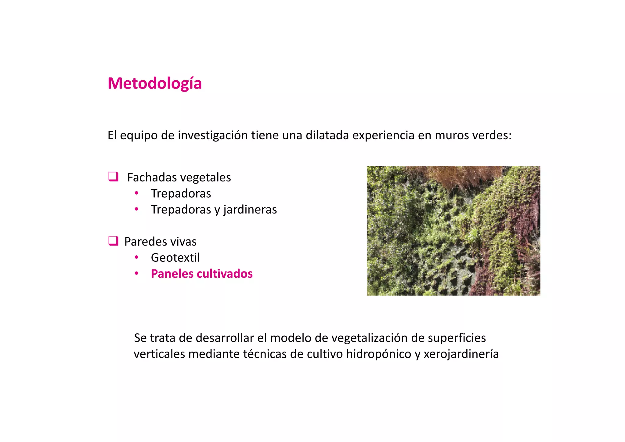 Carreteras y vegetación. Barreras vegetales | PDF
