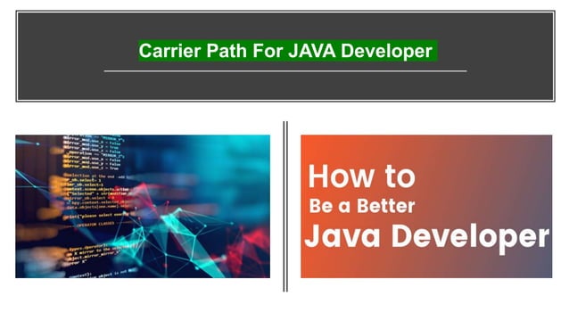 Carrier Advice for a JAVA Developer How to Become a Java Programmer ...