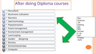 Carrier after BSc and MSc Botany.pptx. imp | PPT
