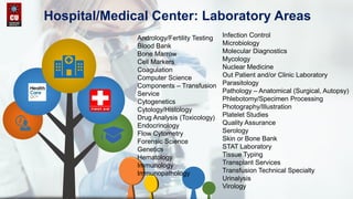 Carrier and Oppurtunities in MLT Vamsi.pdf