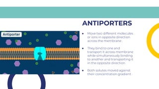 CARRIER MEDIATED TRANSPORTERS in pharmacokinetics | PPT