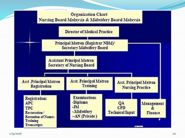 Carrier pathway in malaysia | PPTX